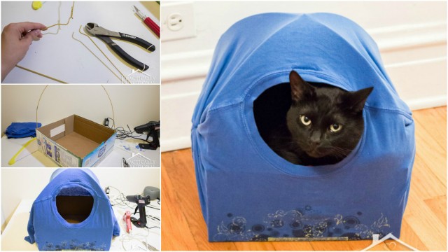 Interesting Cat Tents - Pondic