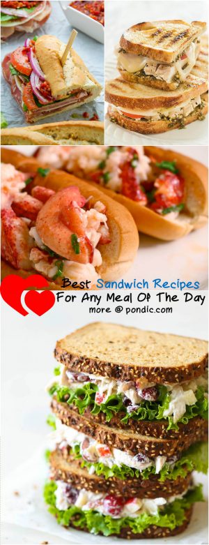 15 Best Sandwich Recipes For Any Meal Of The Day - Pondic